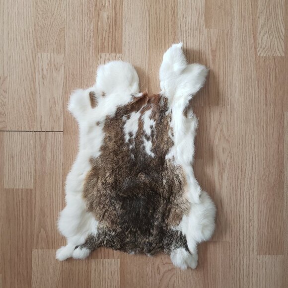 Other | Rabbit Pelt For Display Or Diy | Poshmark